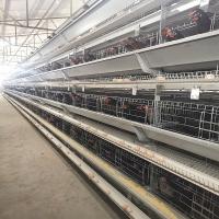 China H Type Layer Battery Chicken Cage System 3-8 Tiers Automatic Poultry Equipment for Tanzania for sale
