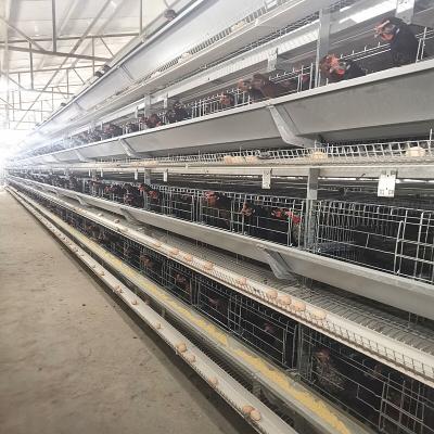 China 4 Tier H Type Battery Chicken Cage 650x1250x2870mm Q235 Hot Dipped Galvanized Poultry Farming Equipment for sale