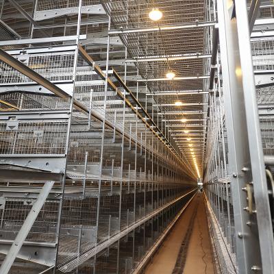 China H Type Chicken Feeder Cage Animal Laying Chicken Cages For Broilers And Chicks for sale