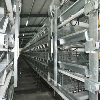 China Hot Dipped Galvanized Layer Battery Cage 54-384 Birds Set Poultry Farming Equipment for sale
