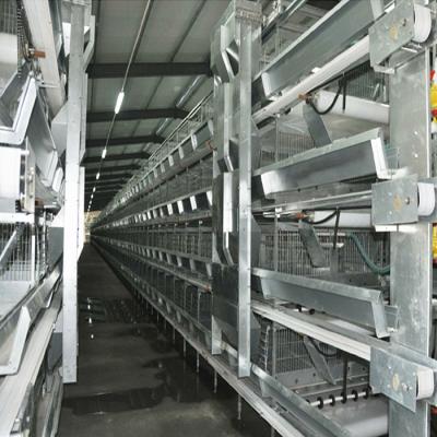 China H-Type Automatic Battery Cage System with Hot Dip Galvanizing and Stackable Modular Design for Commercial Poultry Farming for sale