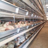 China 30000 Egg Chicken Automatic Battery Cage System - 4-Tier H-Type Galvanized Layer Equipment with 65×62.5×50cm Cells for sale