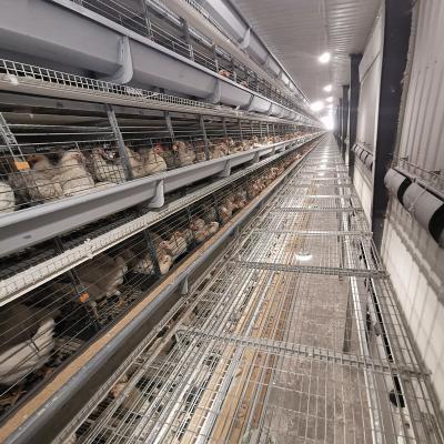 China Hot Dipped Galvanized Layer Battery Cage 54-384 Birds Set Poultry Farming Equipment for sale