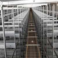 China Hot Dipped Galvanized Battery Layer Chicken Cage 450cm2 per Bird 150kgs Weight for sale