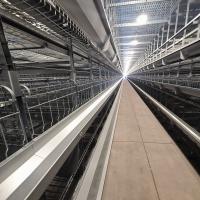 China Automatic Layer Bird Battery Cage System 54-384 Birds Capacity with 3-10 Tiers Hot-Dip Galvanized Construction for sale