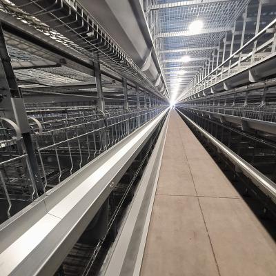 China Automatic Layer Bird Battery Cage System 54-384 Birds Capacity with 3-10 Tiers Hot-Dip Galvanized Construction for sale