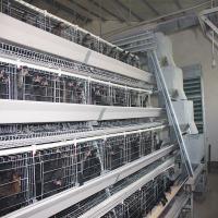 China HDG Q235 Layer Chicken Coop 160 Birds Hens Poultry Battery Cage 4 Tier for sale
