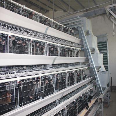 China HDG Q235 Layer Chicken Coop 160 Birds Hens Poultry Battery Cage 4 Tier for sale
