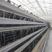 China HDG Q235 Layer Chicken Coop 160 Birds Hens Poultry Battery Cage 4 Tier for sale