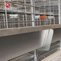 China Hot Dipped Galvanized H Type Layer Chicken Cage 9 Birds 0.40m2 Space for Poultry Farm for sale