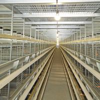 China 50000 Birds H-Type Layer Cage System with 5-Tier Design and 400μm Galvanized Coating for Automated Poultry Farming for sale