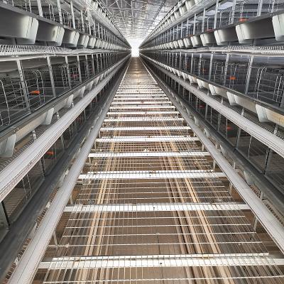China H Type Automatic Layer Cage System 4 Tier Chicken Cage 65x62.5x50cm Q235 Steel 450cm²/Bird Capacity for sale