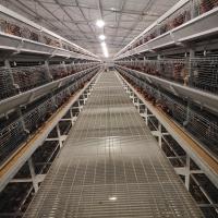 China H Type 20000 Birds Battery Chicken Layer Cage 2mm Hot Dipped Galvanized for Pakistan Farm for sale