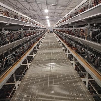 China 4 Tier H Type Chicken Layer Battery Cage 192 Birds Poultry Farming Equipment Hot Dip Galvanized for sale