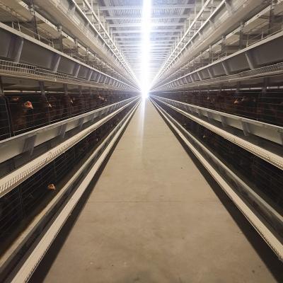 China H-Type Layer Battery Cage System 3-9 Tiers 650x625x500mm Hot-Dip Galvanized 25+ Year Lifespan for sale