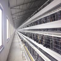 China A Type 3 Tier 4 Tier Battery Chicken Cage for Layers ISO9001 195x230cm for sale
