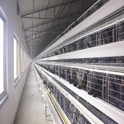China A Type 3 Tier 4 Tier Battery Chicken Cage for Layers ISO9001 195x230cm for sale