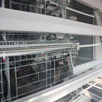 China 10000 Egg Layer Battery Chicken Cage System Q235 Steel Material 3-8 Tier Options SONCAP Certified for sale