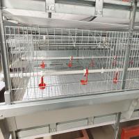 China H Type Battery Broiler Cage System - 3-4 Tier Q235 Steel Construction for 60-144 Birds Capacity for sale