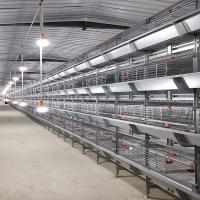 China H Type Broiler Battery Cage 1480x1750x440mm - Hot-Dip Galvanized Poultry Farming Equipment for 60-192 Birds for sale