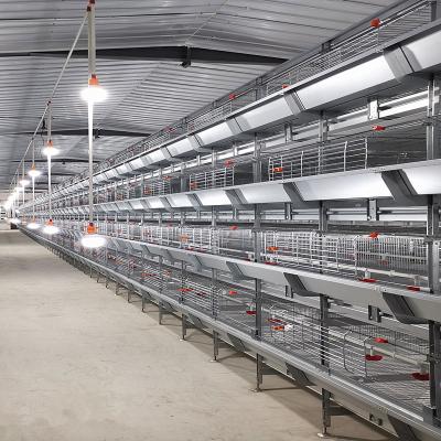 China H Type Broiler Battery Cage 1480x1750x440mm - Hot-Dip Galvanized Poultry Farming Equipment for 60-192 Birds for sale