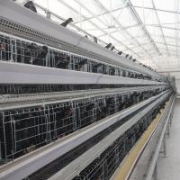 China Battery Cage System For Laying Hens With Hot-dip Galvanization for sale