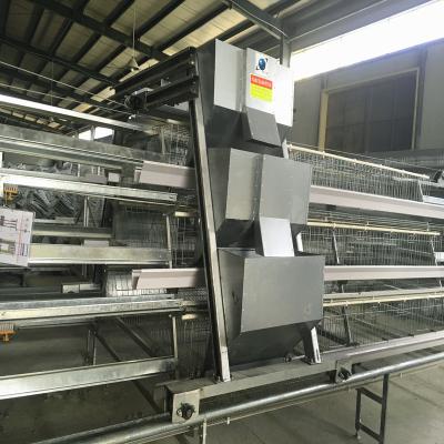 China A Type 3 Tier Layer Chicken Cage 430x450x410mm Hot Dip Galvanized Poultry Equipment for Open House for sale