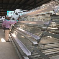 China 20000 Birds Layer Poultry Equipment - 3mm A Frame Layer Cages with 4-Tier Automatic Systems for 100m Houses for sale