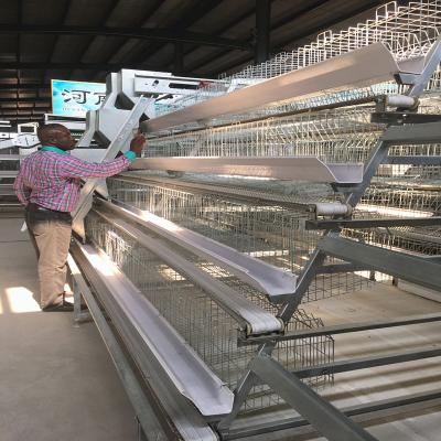 China 20000 Birds Layer Poultry Equipment - 3mm A Frame Layer Cages with 4-Tier Automatic Systems for 100m Houses for sale