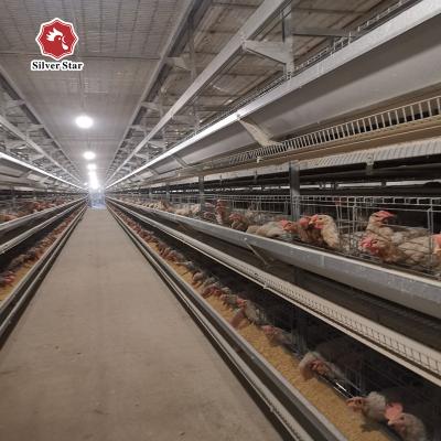 China H Type Layer Chicken Cage System Battery Cage For Egg Production 3/4 Tier Automatic Feeding & Egg Collection Galvanized Steel Direct Manufacturer Supply for sale
