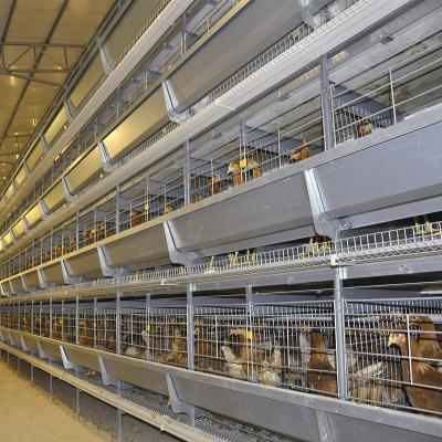 China Welded Wire Egg Layer Chicken Cages Q235A H Type Hot Dipped Galvanized for sale