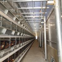 China H-Type Layer Chicken Cage System - 144 Bird Capacity, 65x62.5x50cm Cage Size, Hot-Dip Galvanized Construction for sale
