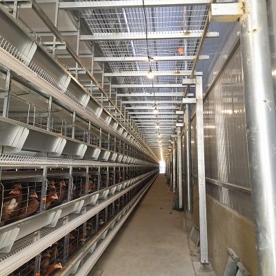 China H-Type Layer Chicken Cage System - 144 Bird Capacity, 65x62.5x50cm Cage Size, Hot-Dip Galvanized Construction for sale