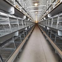 China 4 Tires H Frame Layer Chicken Cage Galvanized Steel Wire Mesh for sale
