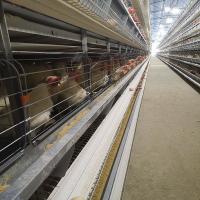 China Soncap 3-8tiers Poultry Battery Layer Chicken Cage Hopper Feeding for sale