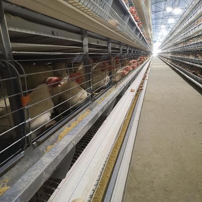 China Soncap 3-8tiers Poultry Battery Layer Chicken Cage Hopper Feeding for sale