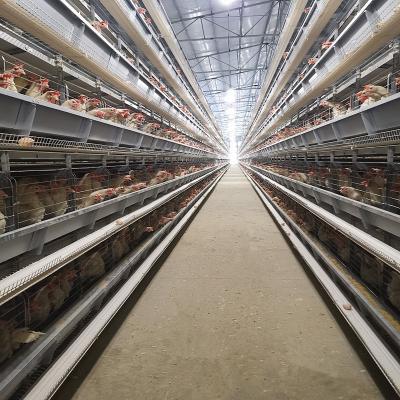 China Poultry Farm Layer Cage H Type Full Automatic Chicken 6Tiers for sale