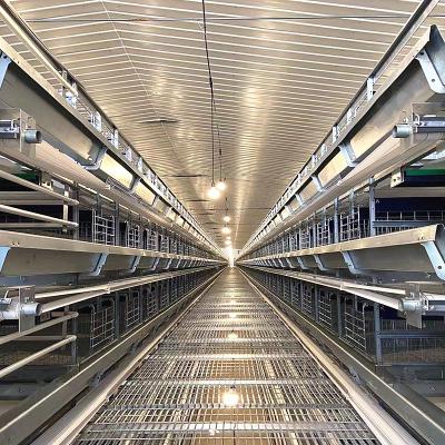 China 380V 3-Phase Layer Chicken Cage System for Laying Hens - 650×625×500mm Hot-Dip Galvanized with SGS Certification for sale