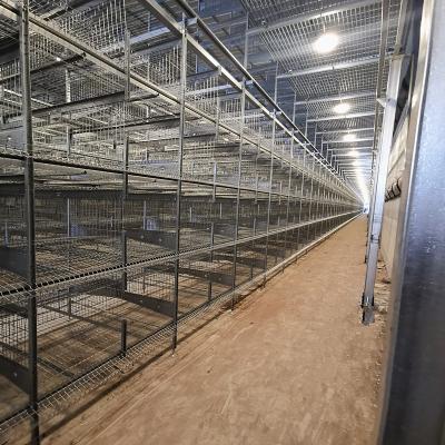 China Hot Dipped Galvanized H Type Layer Chicken Cage 9 Birds 0.40m2 Space for Poultry Farm for sale