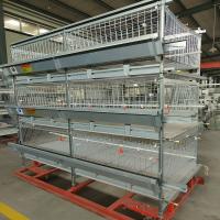 China H Type Broiler Chicken Cage System 1000x1000x440mm with 16-20 Birds Capacity and 25+ Year Service Life for sale