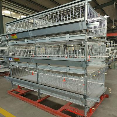 China H Type Broiler Chicken Cage System 1000x1000x440mm with 16-20 Birds Capacity and 25+ Year Service Life for sale