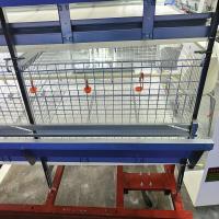 China H Type Broiler Chicken Cage System 1000x1000x440mm with 16-20 Birds Capacity and 25+ Year Service Life for sale