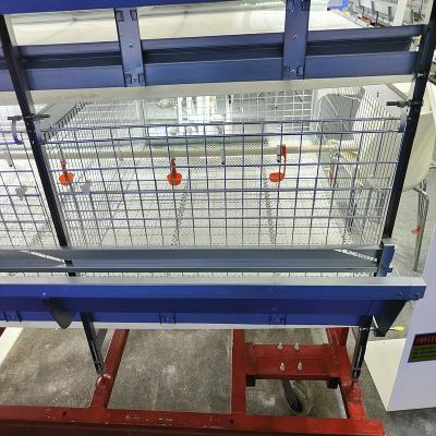 China H Type Broiler Battery Cage 3-8 Tiers 85x62.5cm Automatic Feeding System for sale