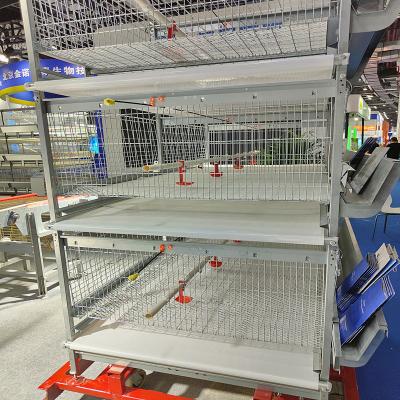 China Modern Poultry Battery Cage System - 3/4 Tier H-Type Broiler Equipment with 500-510cm² Bird Area for sale