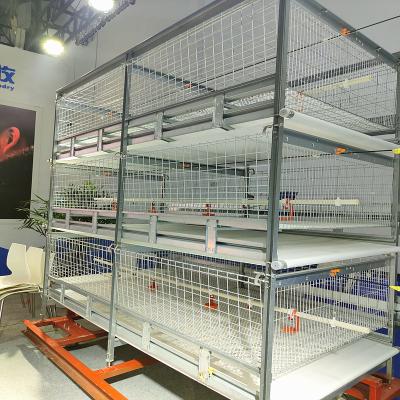 China Galvanized 380V H-Type Broiler Chicken Cage System - 3/4 Tier Models 60-200 Bird Capacity with SGS Certification for sale