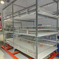 China H-Frame Broiler Battery Cage System 90-200 Bird Capacity with Hot Galvanized 25-Year Lifespan for sale