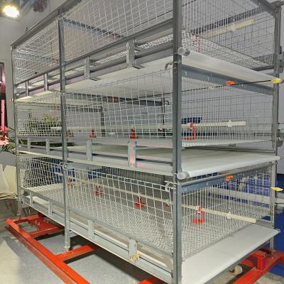 China H-Frame Broiler Battery Cage System 90-200 Bird Capacity with Hot Galvanized 25-Year Lifespan for sale