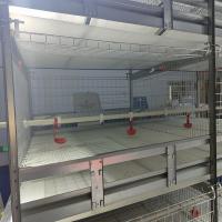 China H-Frame Broiler Battery Cage System 90-200 Bird Capacity with Hot Galvanized 25-Year Lifespan for sale