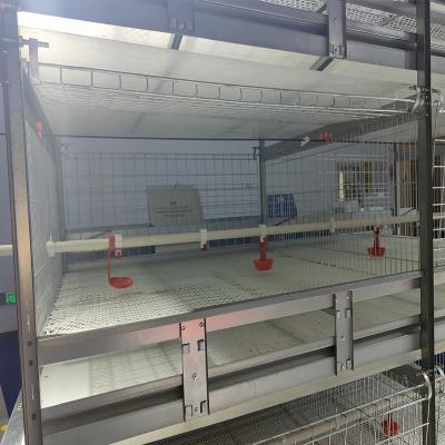 China Full Automatic H-Type Meat Broiler Cage System for High-Density Commercial Poultry Farming with Hot-Dip Galvanized Steel for sale