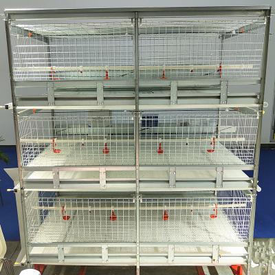 China Automatic H Type Broiler Chicken Cage 150x100x44cm Q235A Galvanized Poultry Farming Equipment with 25+ Year Lifespan for sale